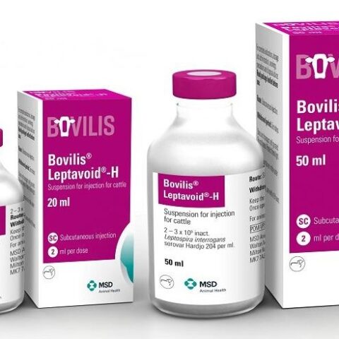 Bovilis Leptavoid H 50ml - Davidsons Farm & Country