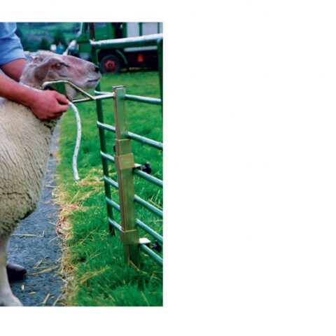 IAE Sheep Yoke Gate In Frame - Davidsons Farm & Country