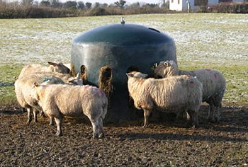 JFC Sheep Haybell - Davidsons Farm & Country