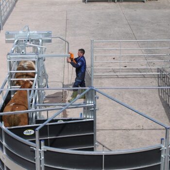IAE Portable Rotex Cattle Handling System - Davidsons Farm & Country
