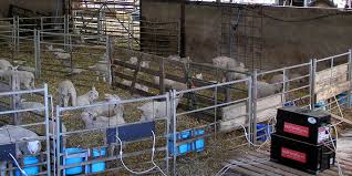 Heatwave Calf & Lamb Ad Lib Milk Warmer - Davidsons Farm & Country