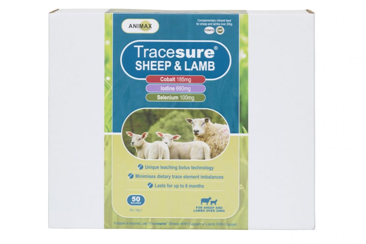 Tracesure Ewe & Lamb Bolus - 200 Bolus - Davidsons Farm & Country