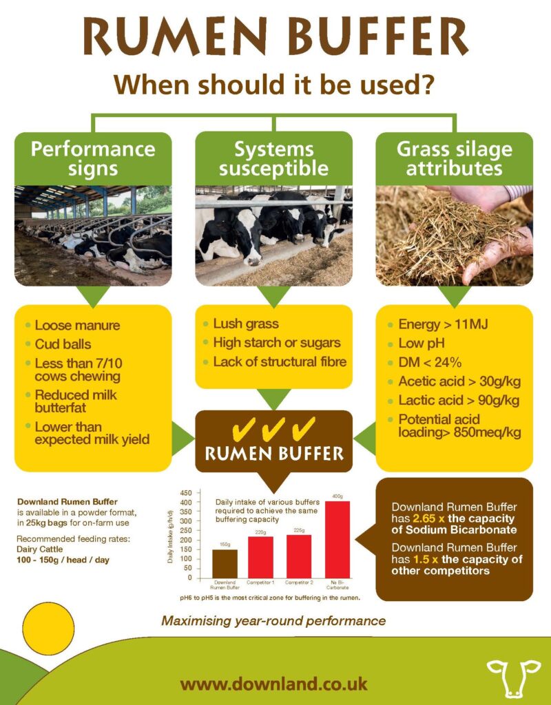 Downland Rumen Buffer 25kg - Davidsons Farm & Country