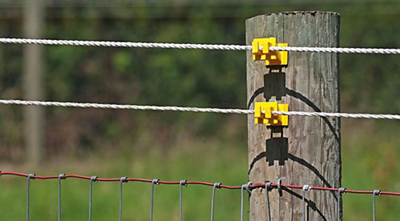 Electric Fencing - Davidsons Farm & Country