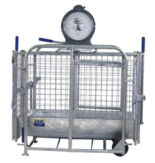 Lamb Weighers - Davidsons Farm & Country
