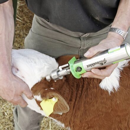 Kerbl Gas Buddex Dehorner - Davidsons Farm & Country